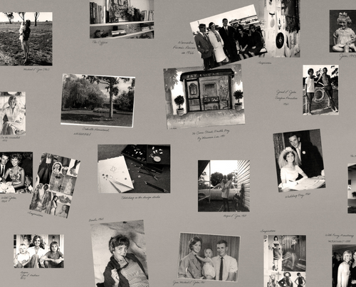 Our Story – Jan Logan